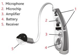 How Hearing Aids Work